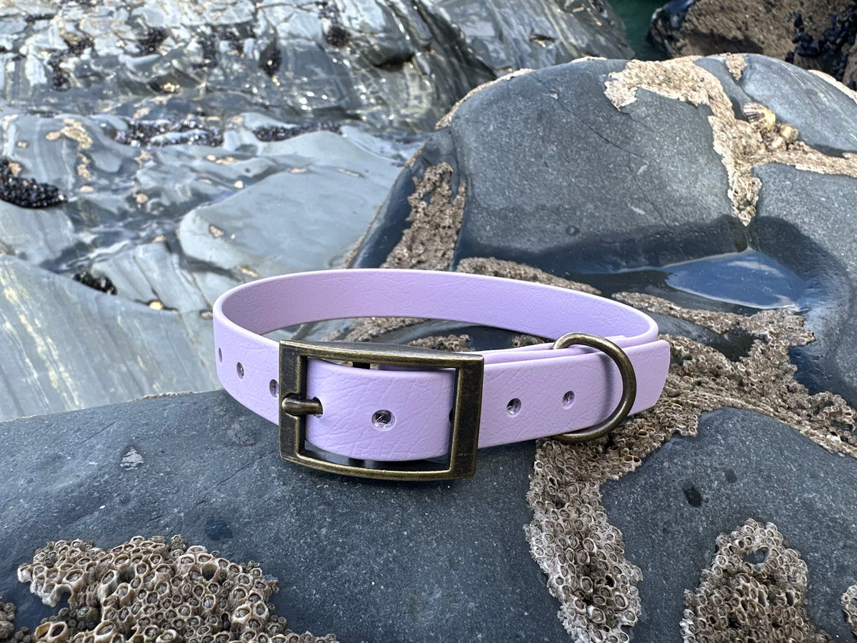 Lavender BioThane® Collar – Dasher Dogwear Cornwall