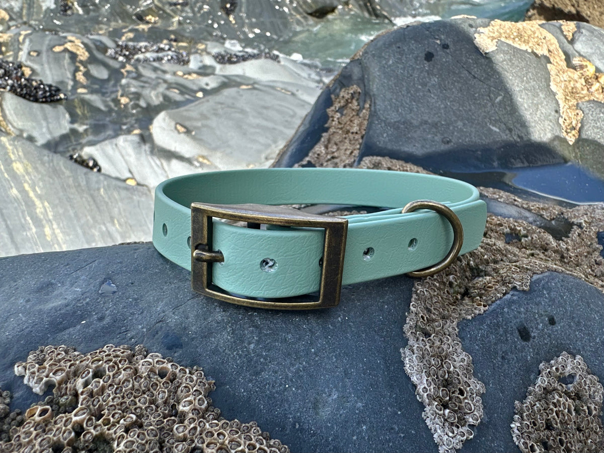 Sage BioThane® Collar – Dasher Dogwear Cornwall